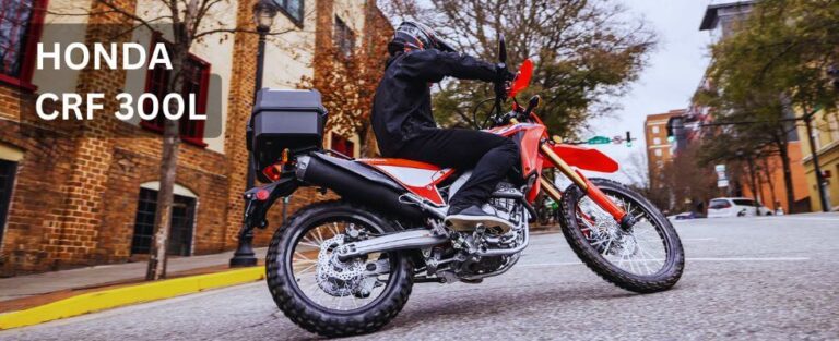 Best Beginner Motorcycles for Tall Riders: Ergonomic, Affordable Picks ...